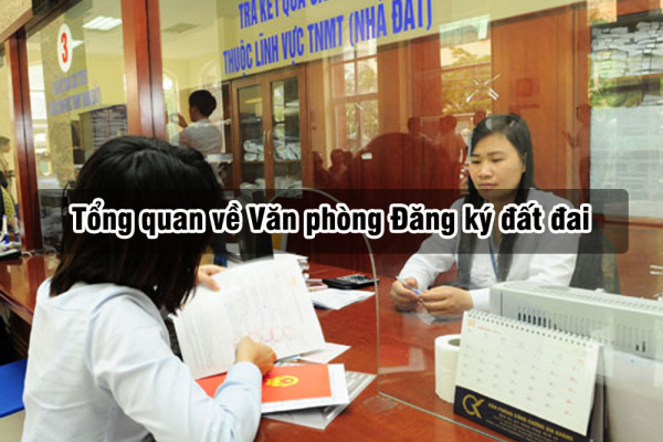 Quận Đống Đa đặt chi nhánh Văn phòng đăng ký đất đai ở đâu?